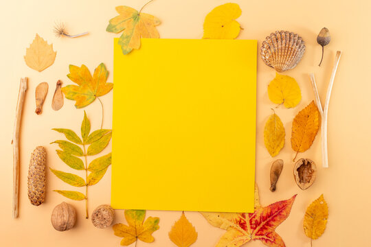 "Natural Objects" Images – Browse 1,537 Stock Photos, Vectors, and ...