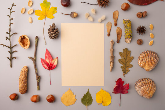 "Natural Objects" Images – Browse 1,537 Stock Photos, Vectors, and ...