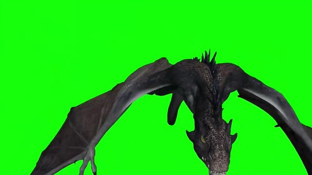 Dragon Images – Browse 2,262,318 Stock Photos, Vectors, and Video ...