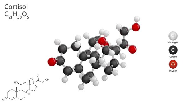 Cortisol Images – Browse 13,897 Stock Photos, Vectors, and Video ...