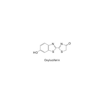 รูปภาพLuciferin – เลือกดูภาพถ่ายสต็อก เวกเตอร์ และวิดีโอ185 | Adobe Stock