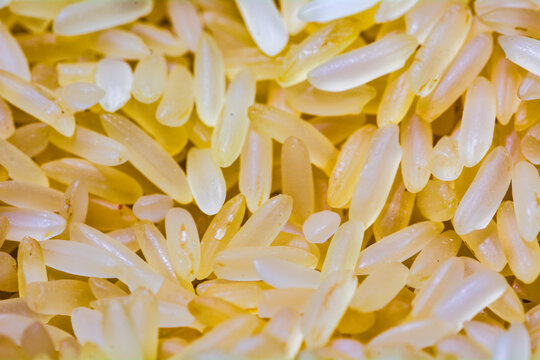 "Rice Background" Images – Browse 2,202 Stock Photos, Vectors, and ...