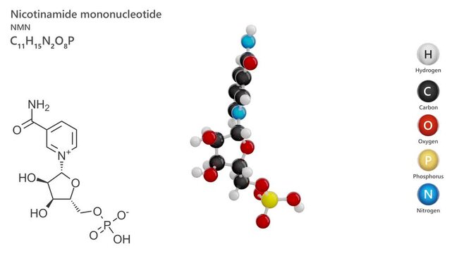 Nmn 이미지 – 찾아보기 412 스톡 사진, 벡터 및 비디오 | Adobe Stock