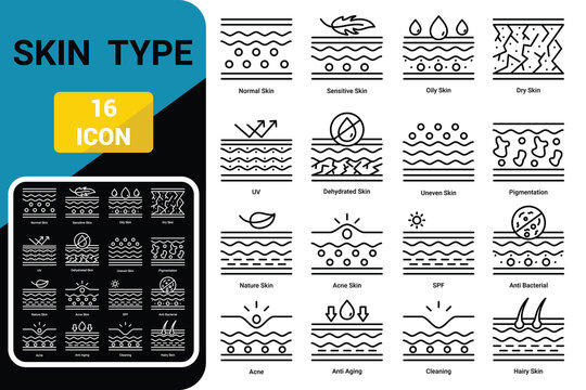 Skin Type Icons Images – Browse 21,903 Stock Photos, Vectors, and Video ...