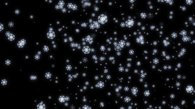Animated Snow Falling Transparent