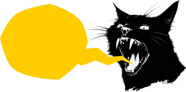 Angry Black Cat Drawing