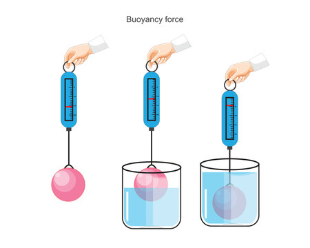 Archimedes Principle Images Browse 65 466 Stock Photos Vectors