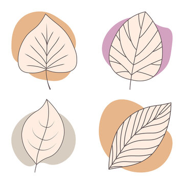 webhazrat photos, images, assets | Adobe Stock