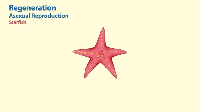 "Asexual Reproduction" Images – Browse 862 Stock Photos, Vectors, and ...