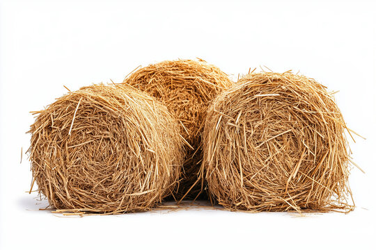 "Bale Of Hay" Images – Browse 1,612 Stock Photos, Vectors, and Video ...