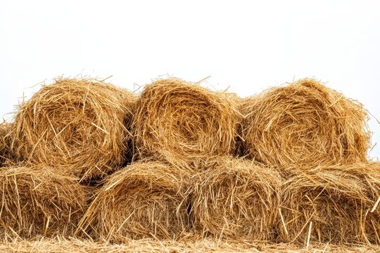 "Hay Background" Images – Browse 395 Stock Photos, Vectors, and Video ...