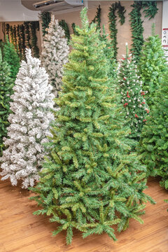 "Xmas Trees" Images – Browse 603 Stock Photos, Vectors, and Video ...