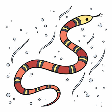 how to draw coral snake