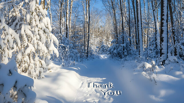 Winter Thank You Images – Browse 63,433 Stock Photos, Vectors, and ...