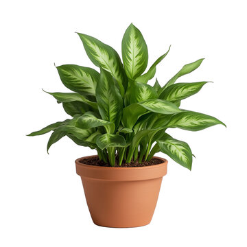 MicroTee photos, images, assets | Adobe Stock