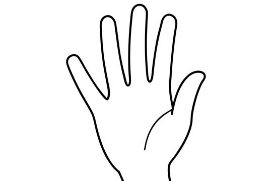 "Hand Vector" - Images et vidéos libres de droits | Adobe Stock