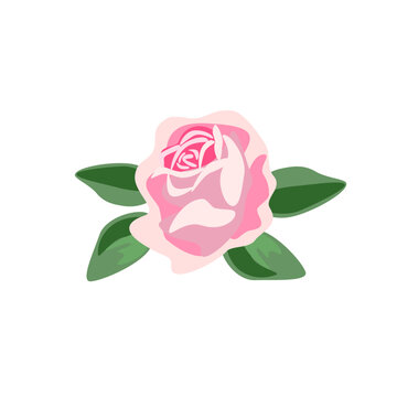 Ichi photos, images, assets | Adobe Stock