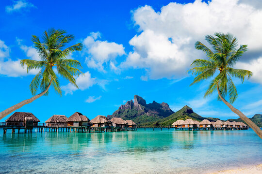 "French Polynesia" Images – Browse 38,010 Stock Photos, Vectors, and ...