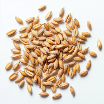 MicroTee photos, images, assets | Adobe Stock