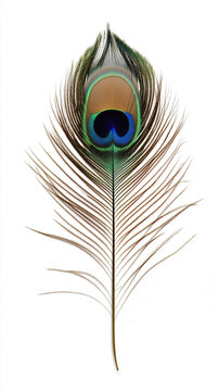 MicroTee photos, images, assets | Adobe Stock