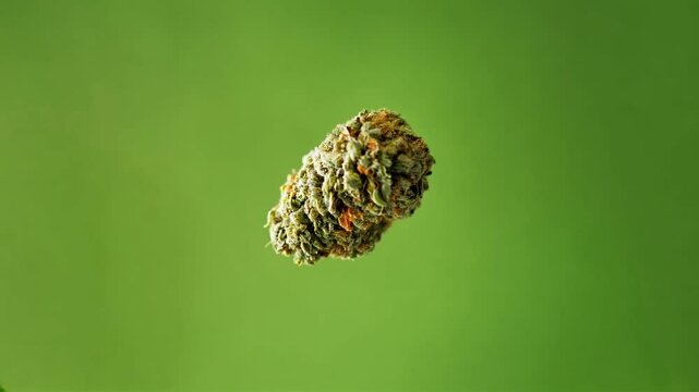 รูปภาพNug – เลือกดูภาพถ่ายสต็อก เวกเตอร์ และวิดีโอ4,015 | Adobe Stock