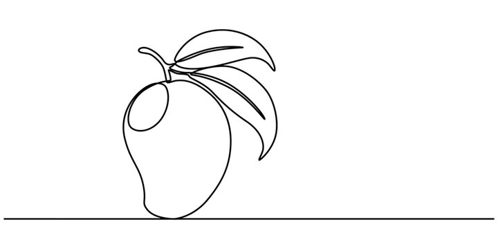 Mango Line Drawing Images – Browse 11,888 Stock Photos, Vectors, and ...