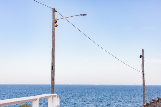 Caseyjadew photos, images, assets | Adobe Stock