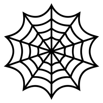 Realistic Spider Web Drawings
