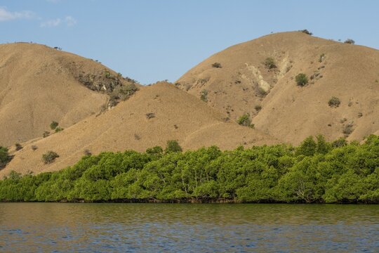 Lesser Sunda Islands