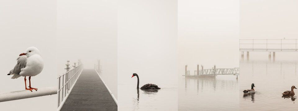 Caseyjadew photos, images, assets | Adobe Stock