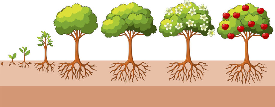 tigatelu photos, images, assets | Adobe Stock