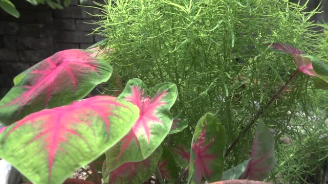 Saks Images – Browse 2,773 Stock Photos, Vectors, and Video | Adobe Stock