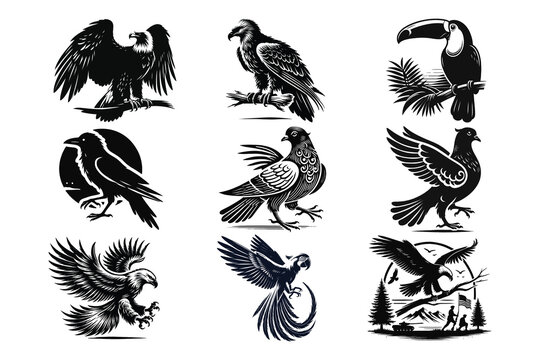 Flying Hawk Vector