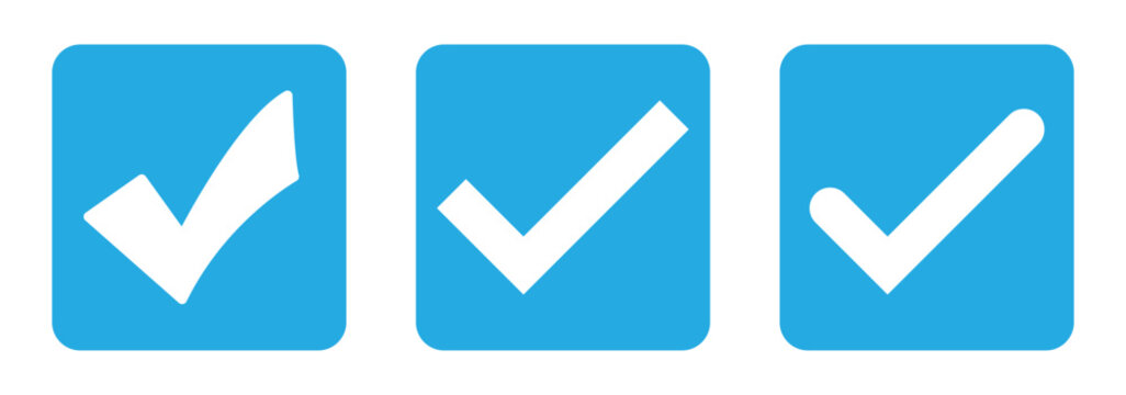 Blue Check Box Icon