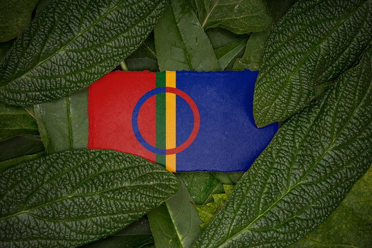 sami tribe flag