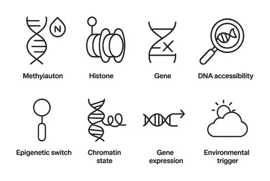 Chromatin Images – Browse 9,138 Stock Photos, Vectors, and Video ...