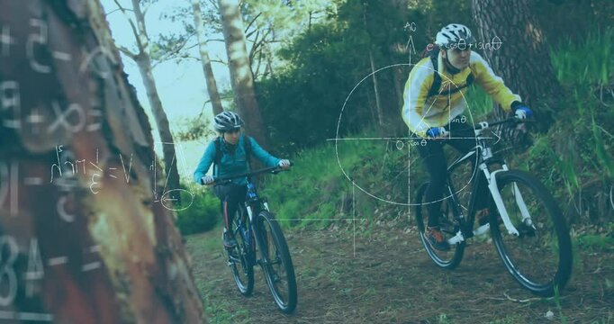 Pine Trig Stock Videos – 2 HD & 4K Footage Clips | Adobe Stock