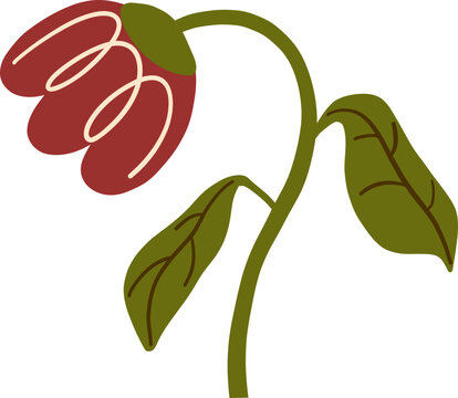 "Drooping Flower" Images – Browse 402 Stock Photos, Vectors, and Video ...