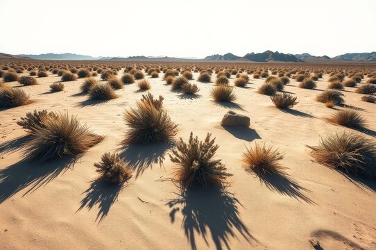 "Sparse Vegetation" Images – Browse 6,668 Stock Photos, Vectors, and ...