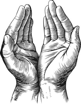 Cupped Hands Pencil Drawing