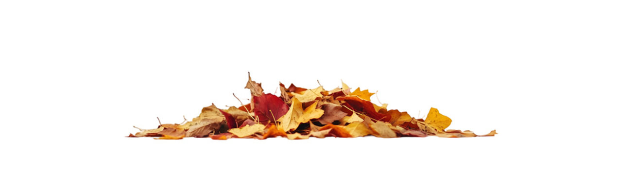 「ぶどうの葉」の写真素材 | 1,355,356件の無料イラスト画像 | Adobe Stock