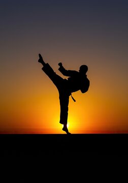 karate wallpaper border