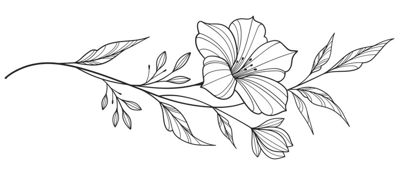 simple flower vector