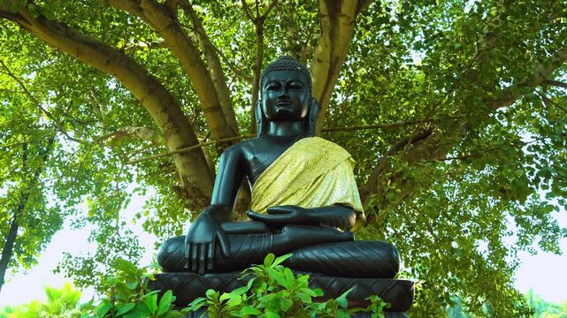 "Buddha Hands" Images – Browse 199 Stock Photos, Vectors, and Video ...