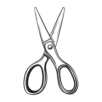 Scissor Vector And Clips