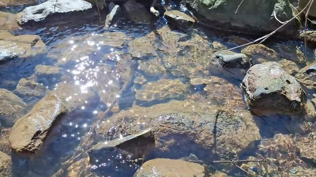"Bubbling Stream" Images – Browse 177 Stock Photos, Vectors, and Video ...