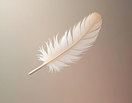 "Fluffy Feather" Images – Browse 1,141 Stock Photos, Vectors, and Video ...
