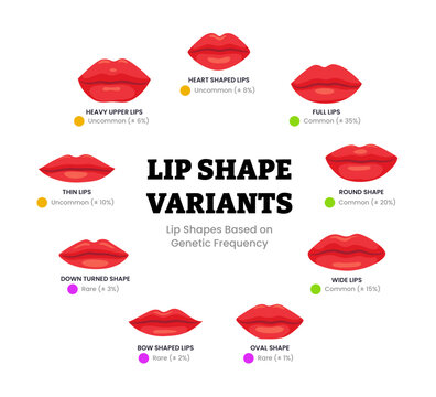 Different Types Of Mouth Shapes