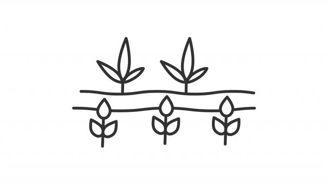 Intercropping Images – Browse 1,777 Stock Photos, Vectors, and Video ...