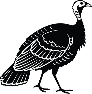 Wild Turkey Stencils